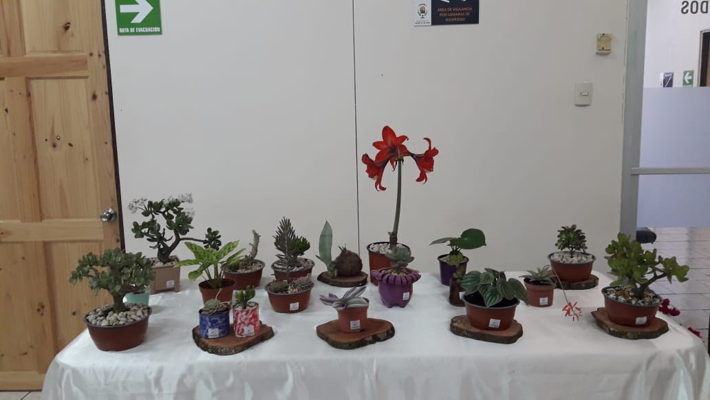 Vivero La Violeta - Montes de Oro